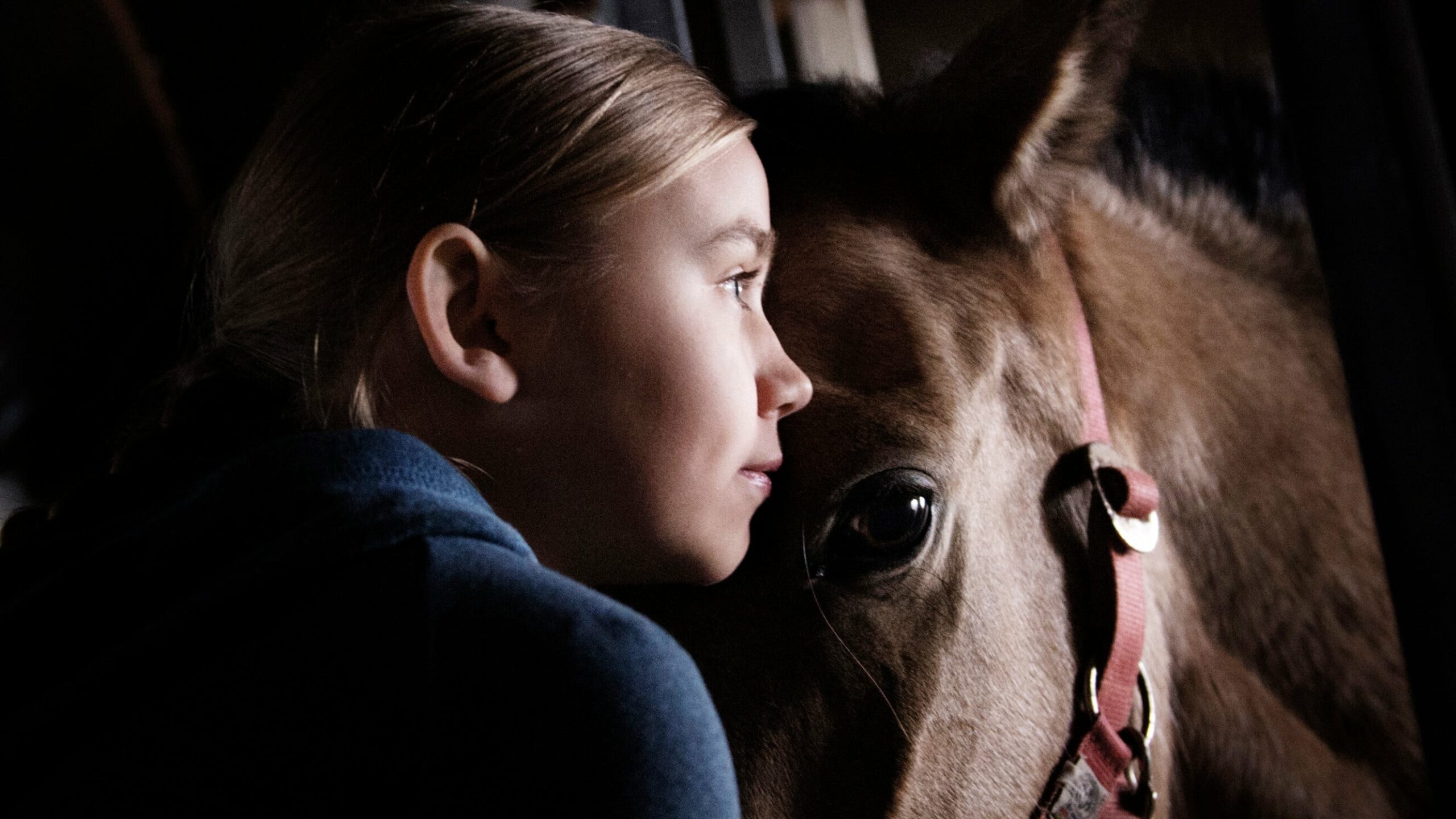 How to watch Little Wing in the UK on Stan - UpNext by Reelgood