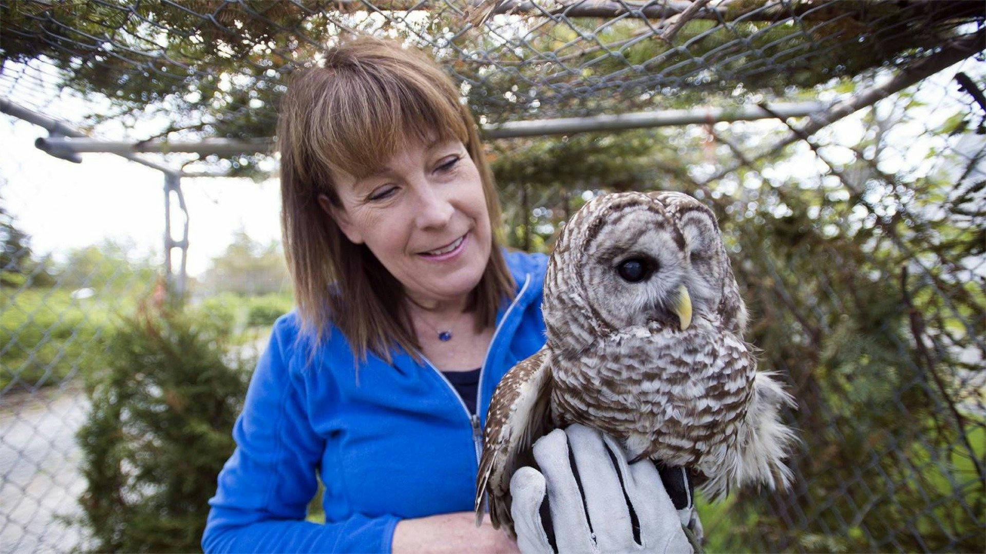 How to watch Hope in the Wildlife Season 6 outside the US on Fubo TV ...