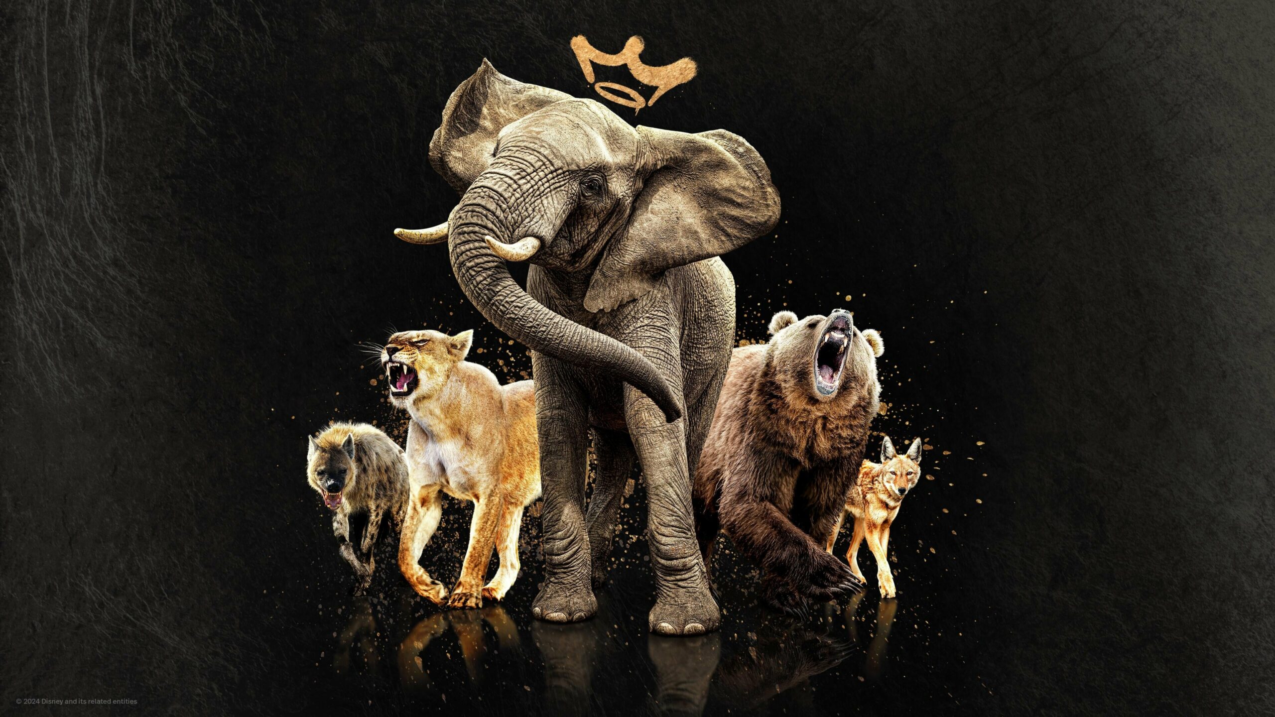How to watch Queen (2024) outside India on Disney+ Hotstar - UpNext by ...