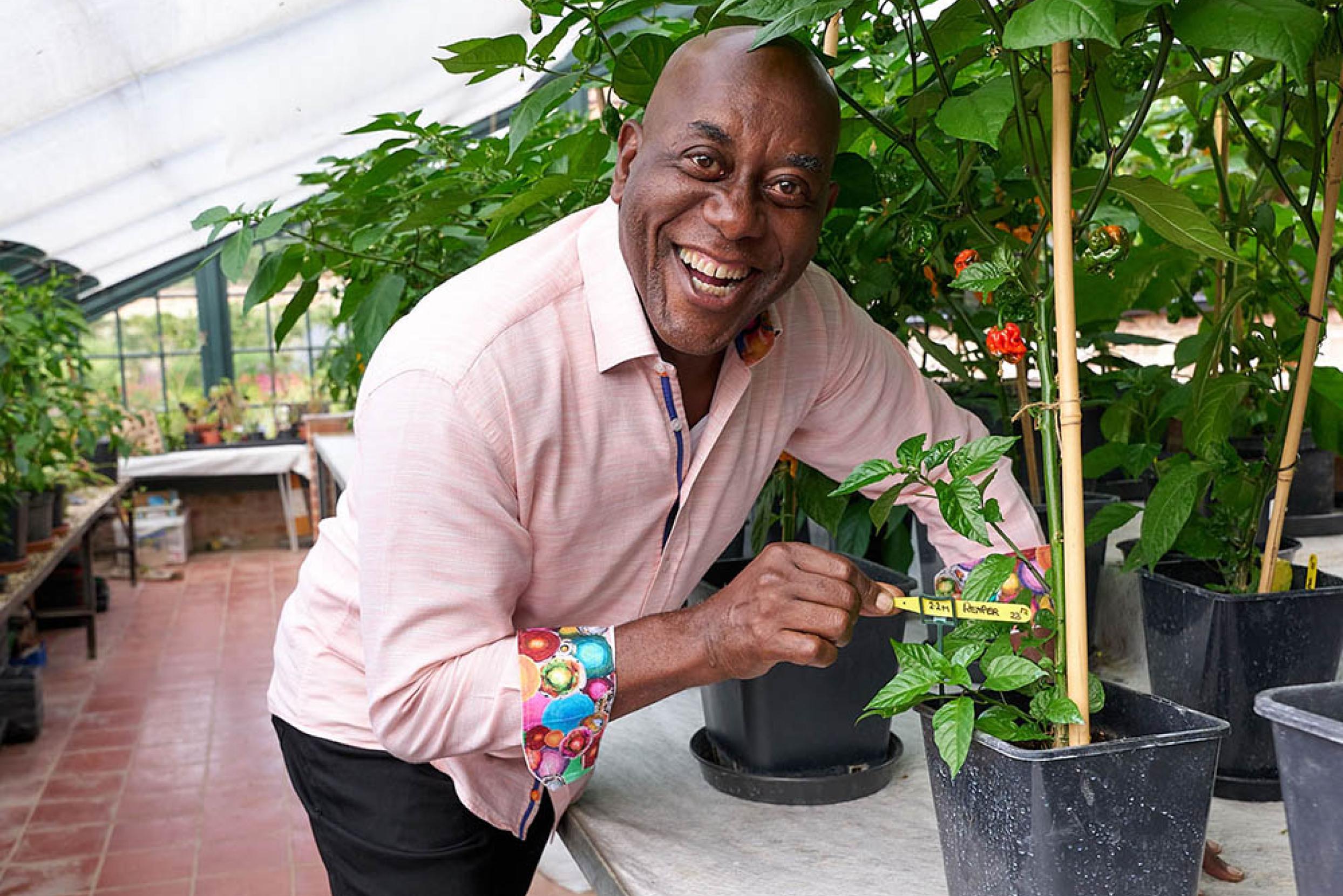 How to watch Ainsley's National Trust Cook Off in Australia on ITVX ...