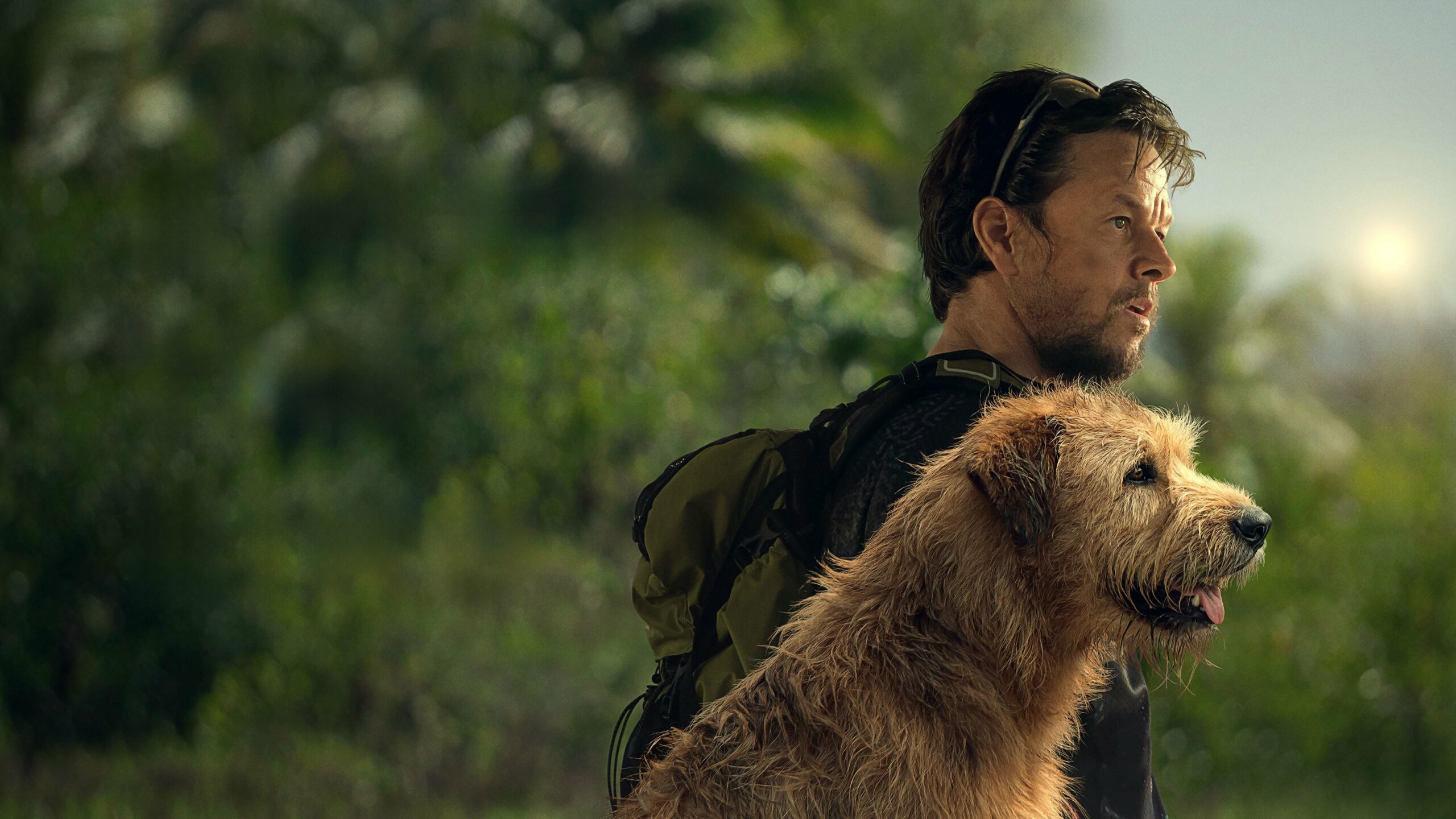 How to watch Arthur the King 2024 in Ireland on Prime Video - UpNext by ...