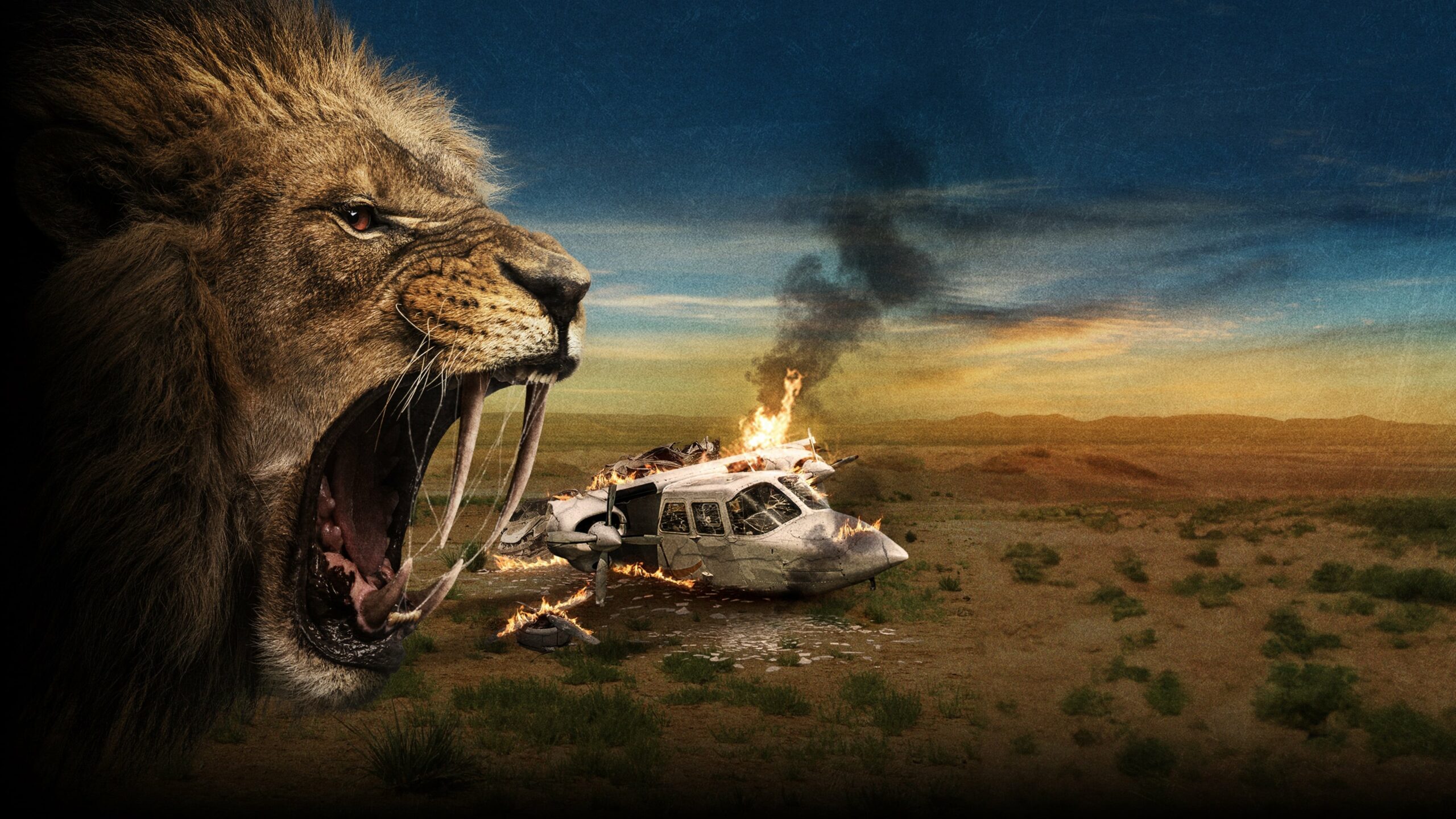 How to watch Prey (2024) outside the US on Hulu - UpNext by Reelgood