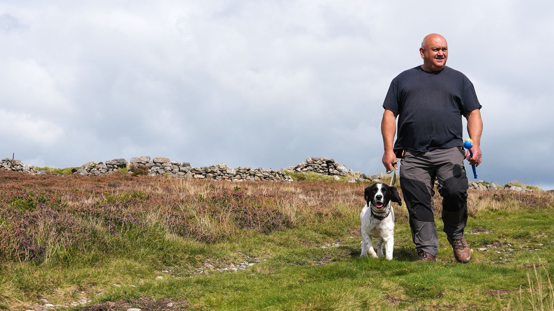 How to watch Super Dogs with Extraordinary Jobs outside the UK on Channel 5 - UpNext by Reelgood