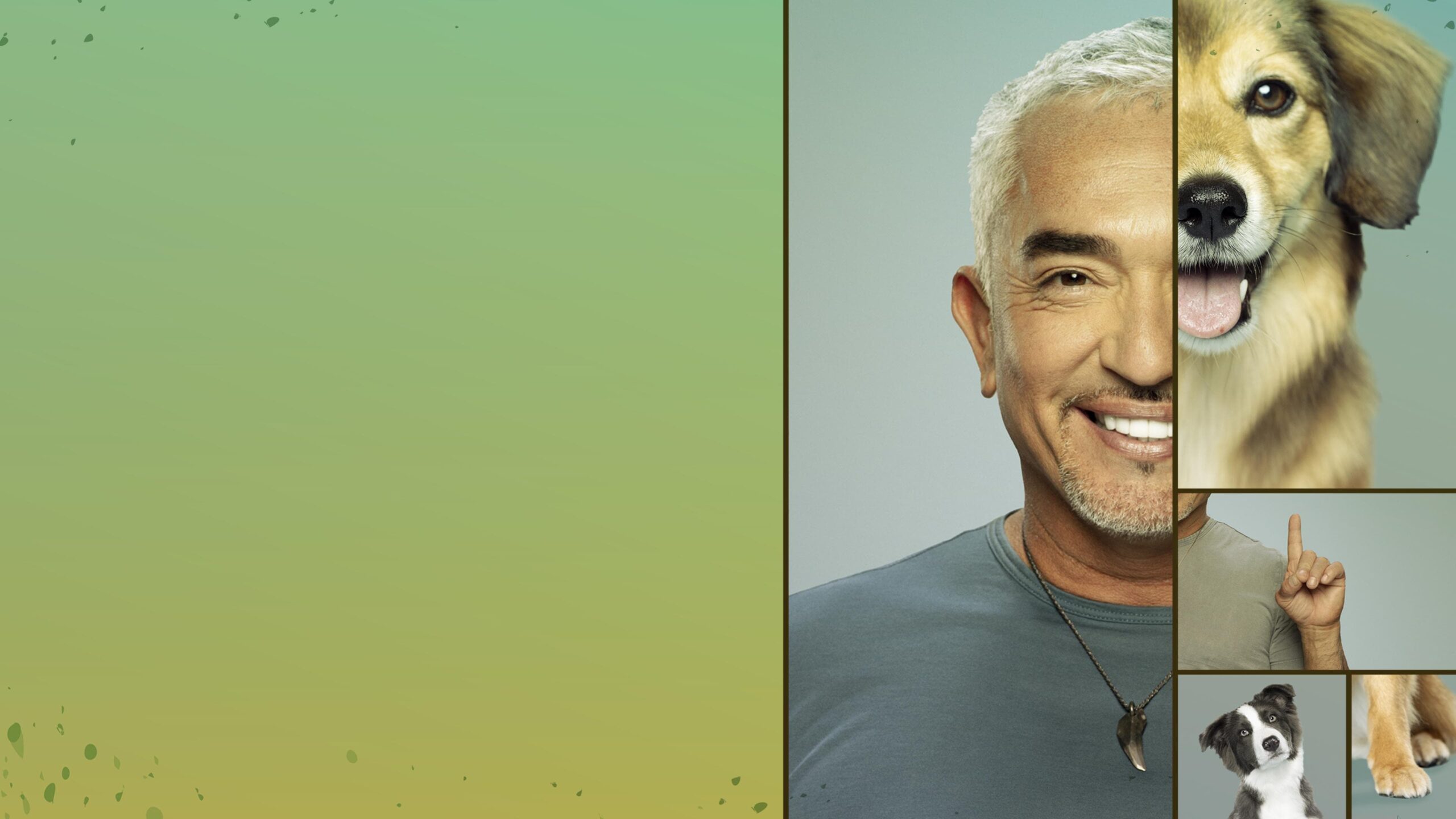 How to watch Cesar Millan: Better Human, Better Dog Season 5 outside ...