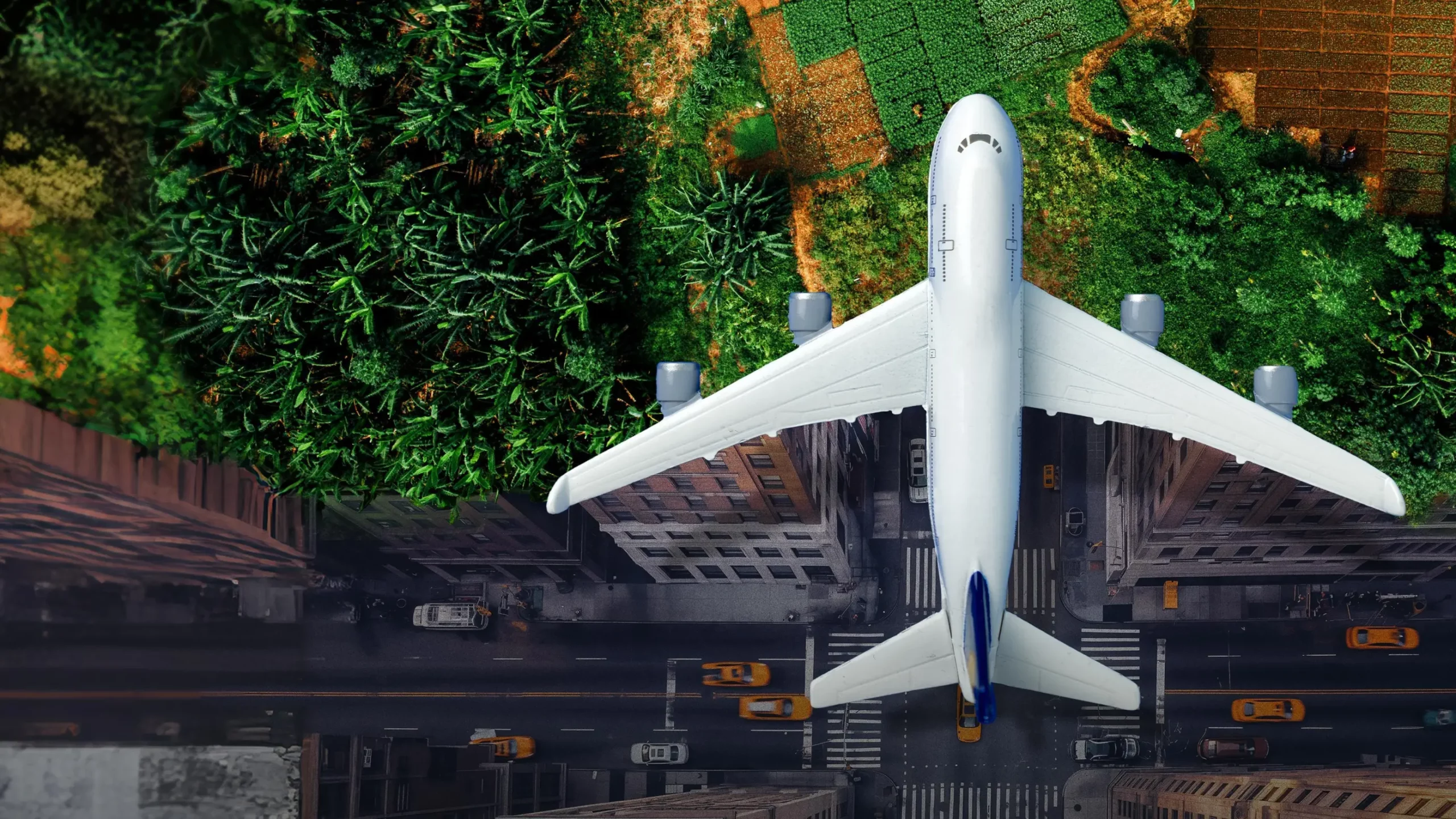 How to watch Coming From America outside the US on Max - UpNext by Reelgood