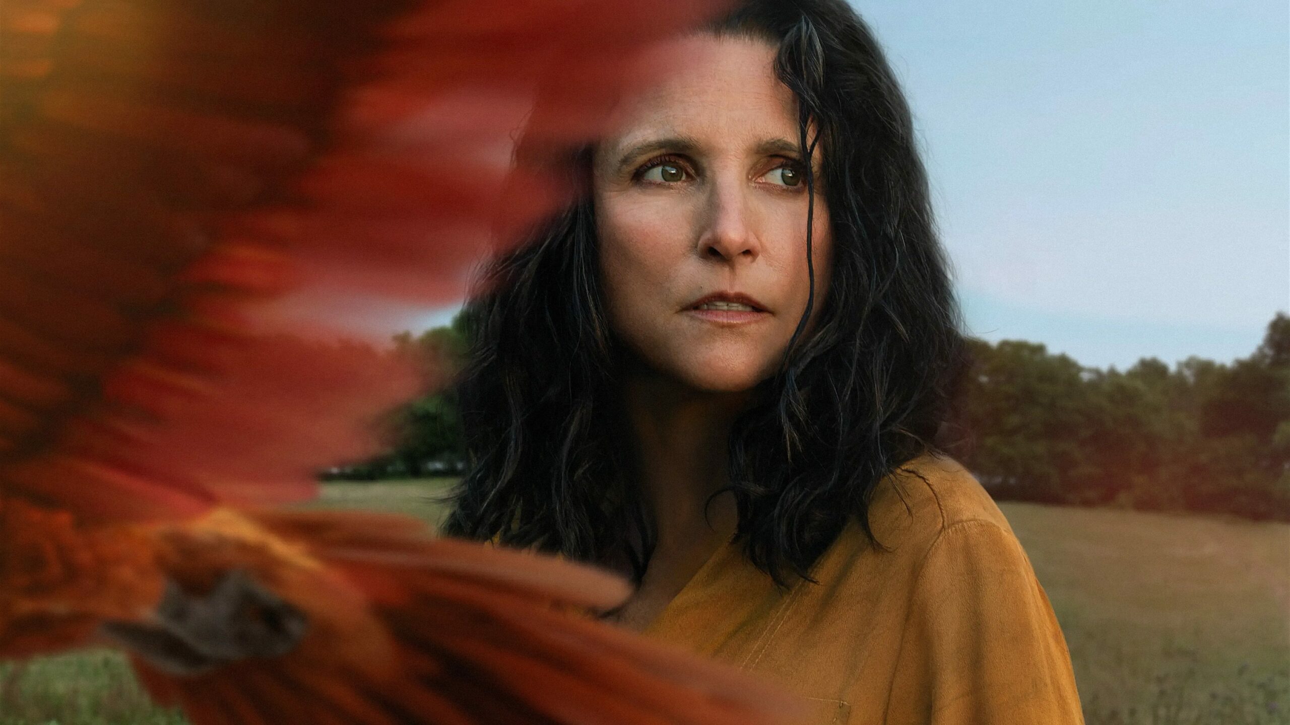 How to watch Tuesday (2024) outside the US on Max - UpNext by Reelgood