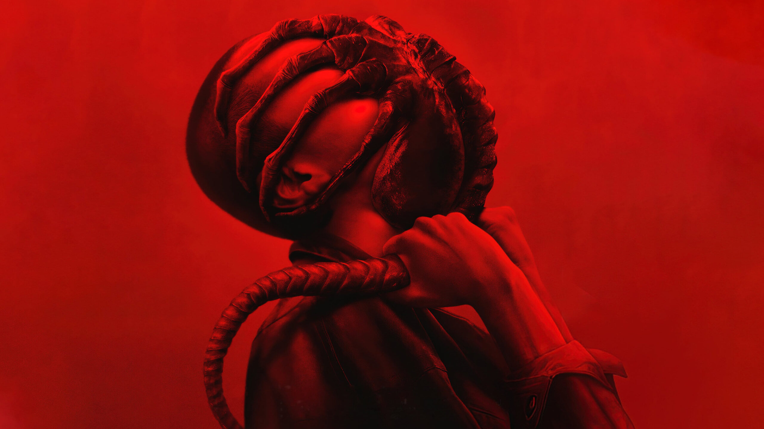 How to watch Defying Gravity: The Curtain Rises on Wicked in the US ...