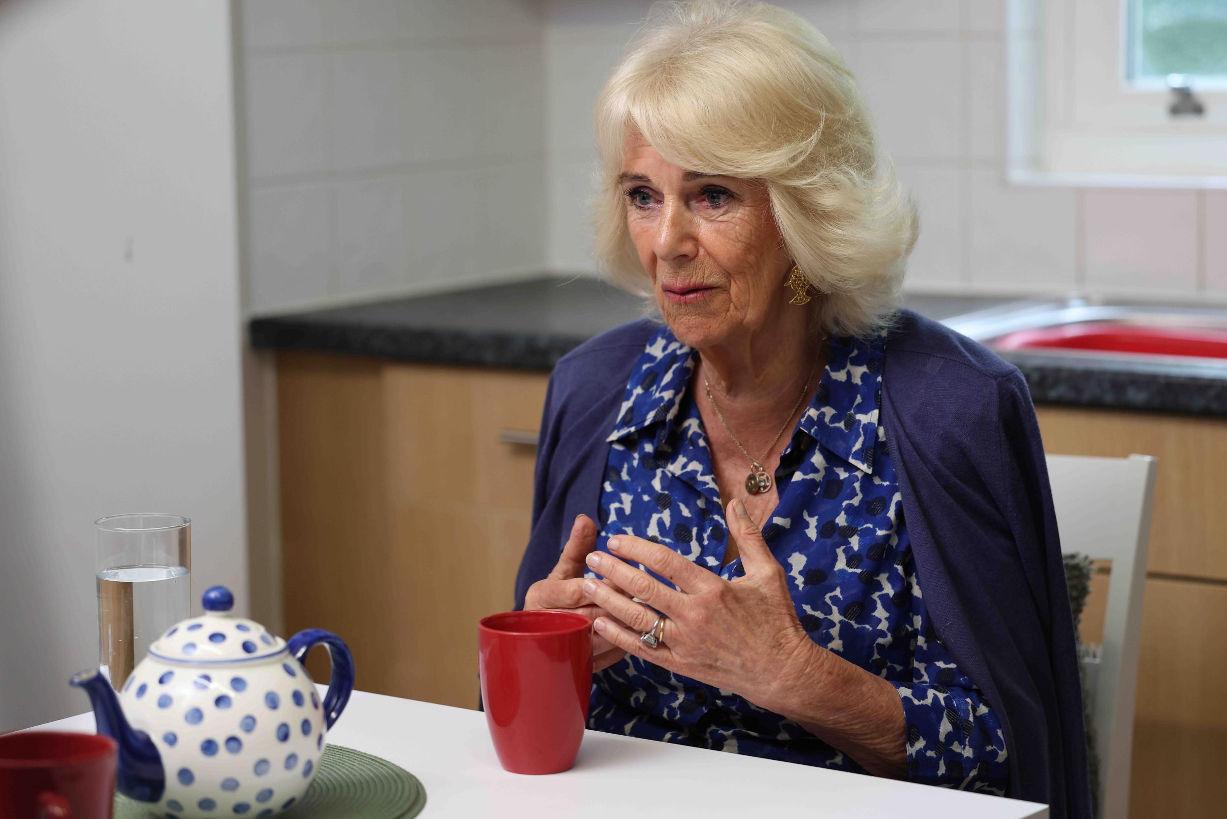 How to watch Her Majesty The Queen: Behind Closed Doors in the US ...