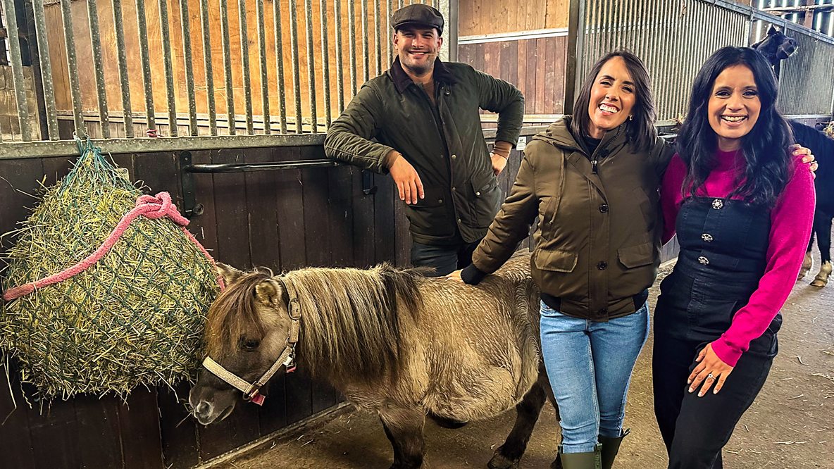 How to watch Celebrity Escape To The Country Series 2 outside the UK - UpNext by Reelgood