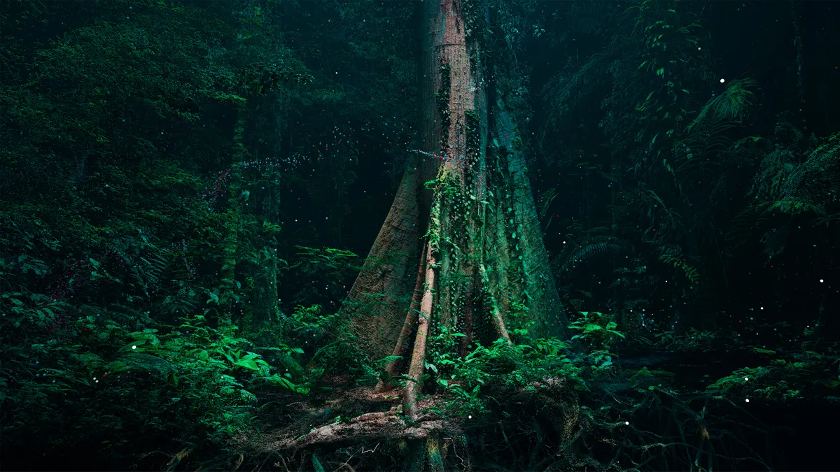 How to watch The Forest Documentary in the US - UpNext by Reelgood
