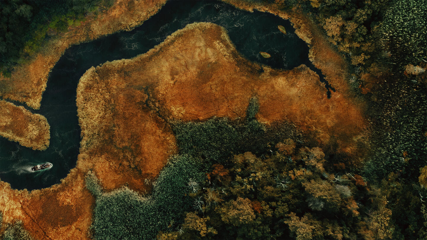 How to watch Swamp People: Serpent Invasion Season 5 outside the US ...