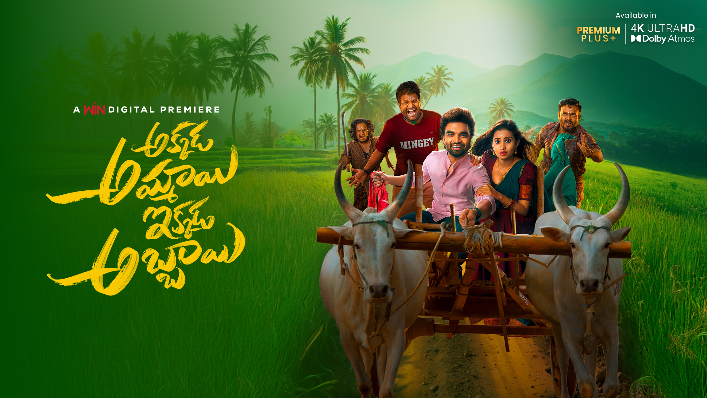 How to watch Akkada Ammai Ikkada Abbai in the US - UpNext by Reelgood