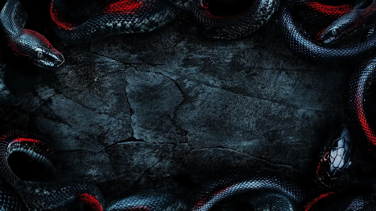 How to Watch WWE Backlash 2025 Live - UpNext by Reelgood