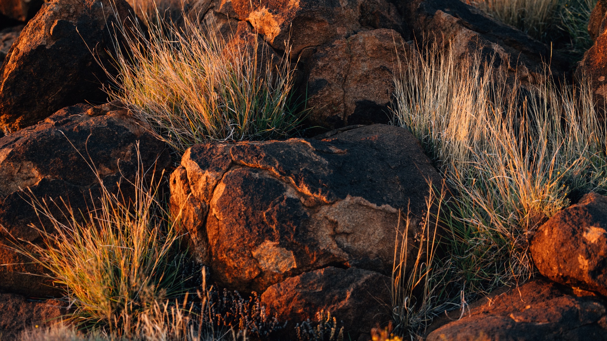 How to watch Alone Season 12 in the UK - UpNext by Reelgood