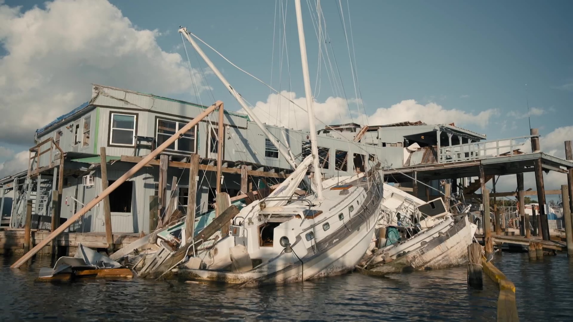 How to Watch Animal Kingdom in India on Netflix - UpNext by Reelgood